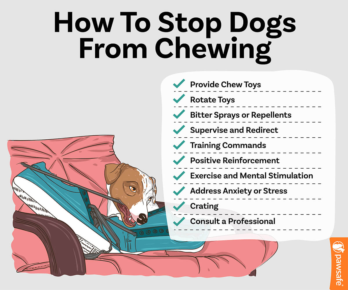 Other Home Remedies for Chewing in Dogs