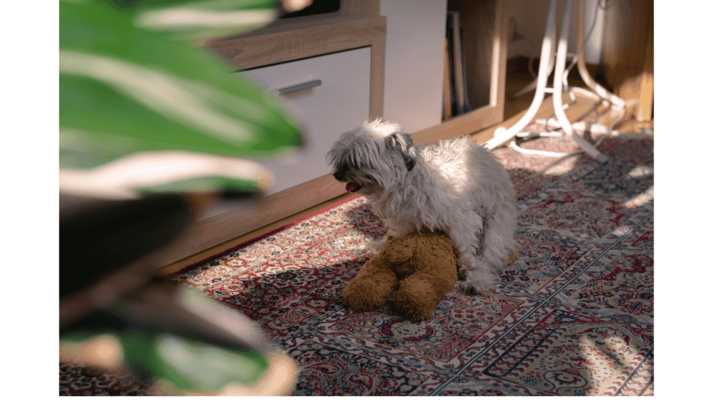 5. Stress or Anxiety